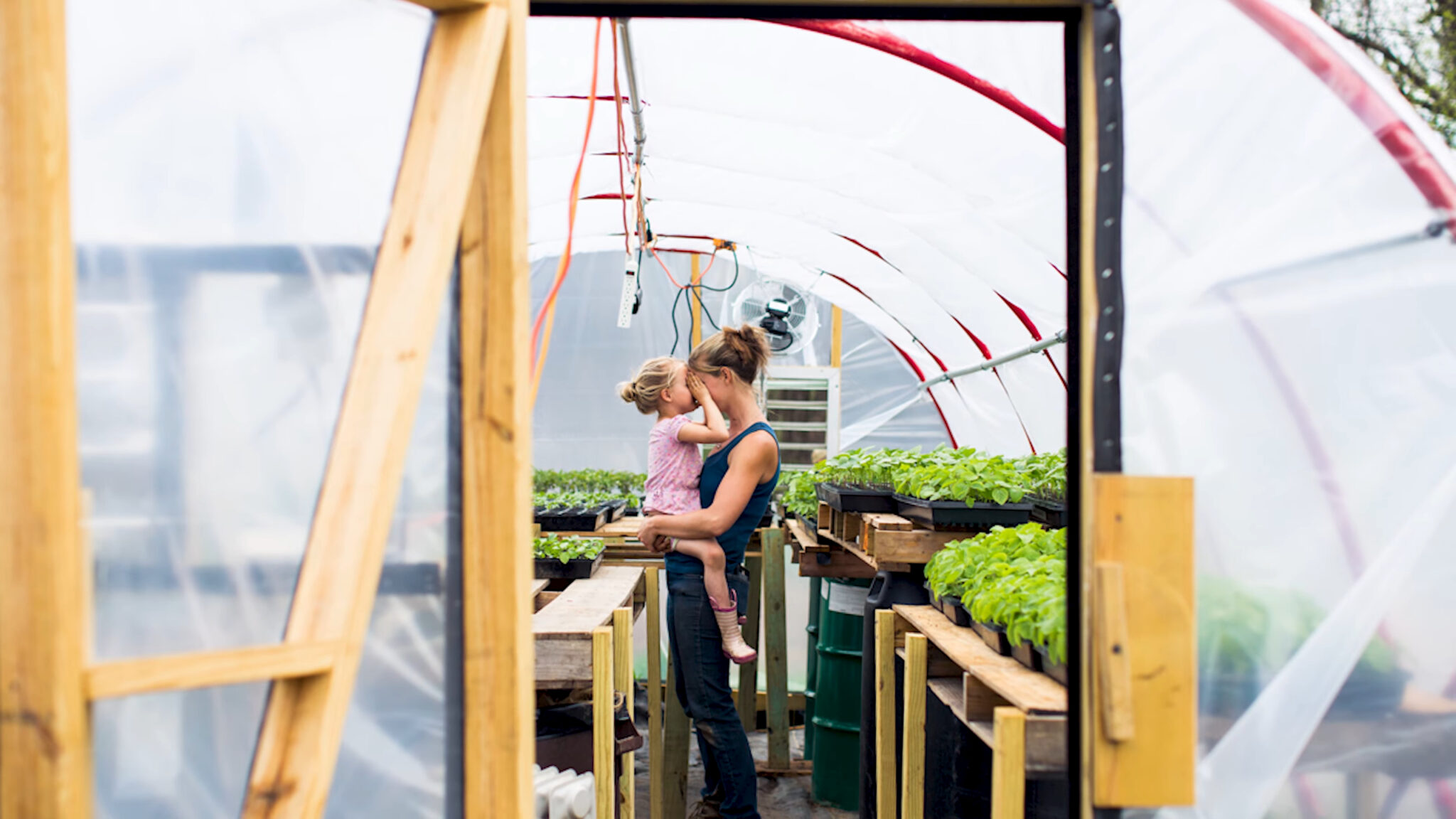 11 Ways Farmers Help the Environment - How Farming Can Heal Nature ...